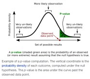 Toward Sustainable Insights Or Why Polygamy Is Bad For You The Toward Sustainable Insights Or Why Polygamy Is Bad For You The